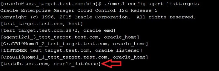 Resolved: OEM DB target is showing down status though connection test ...